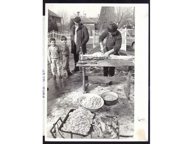 SVINJOKOLJ baric obrenovac press photo 1993