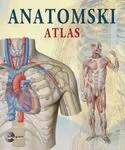 Anatomski atlas – Adrijana Riguti