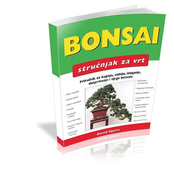 Bonsai – David Squire