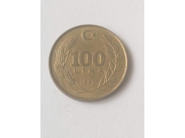100 Lira 1991.g - Turska -