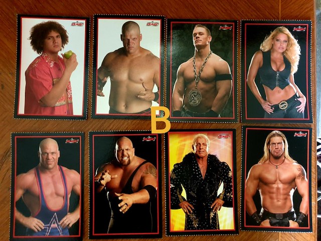 WWE kartice 10 x 15 cm