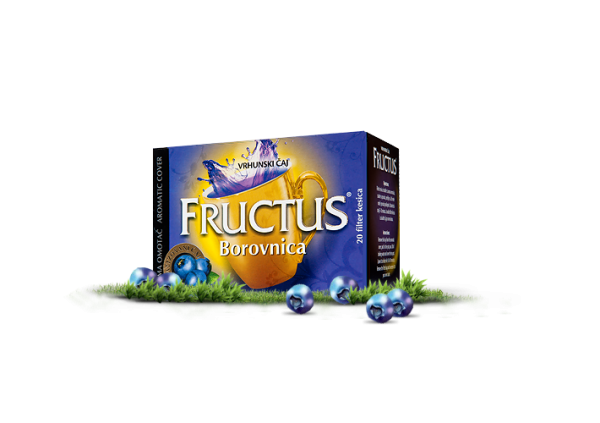 FRUCTUS FILTER ČAJ BOROVNICA