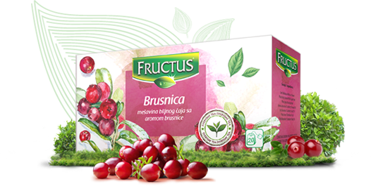 FRUCTUS FILTER ČAJ BRUSNICA