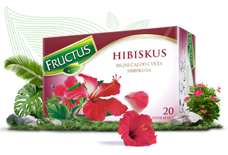 FRUCTUS FILTER ČAJ HIBISKUS