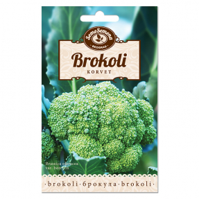 Brokoli Korvet