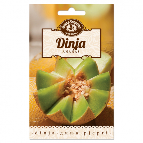 Dinja Ananas