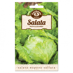 Salata Batavia di Parigi