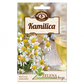 Kamilica