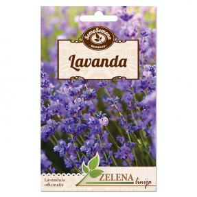 Lavanda