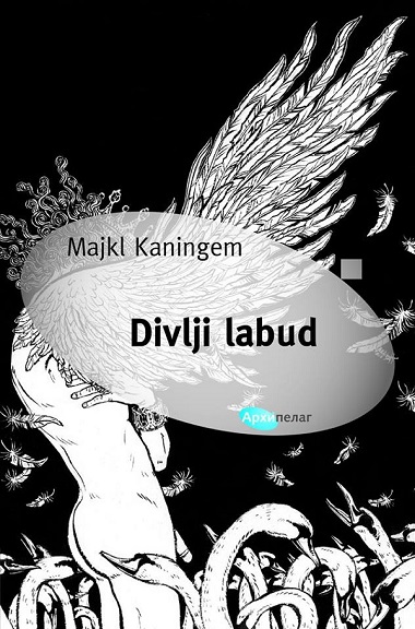 Divlji labud