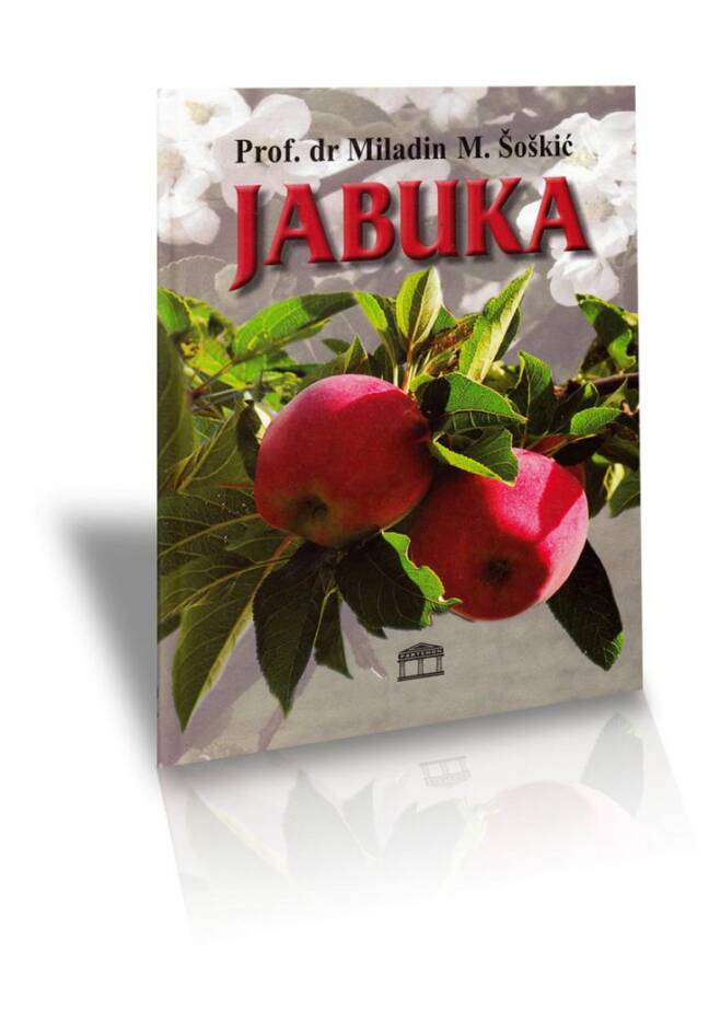 Jabuka