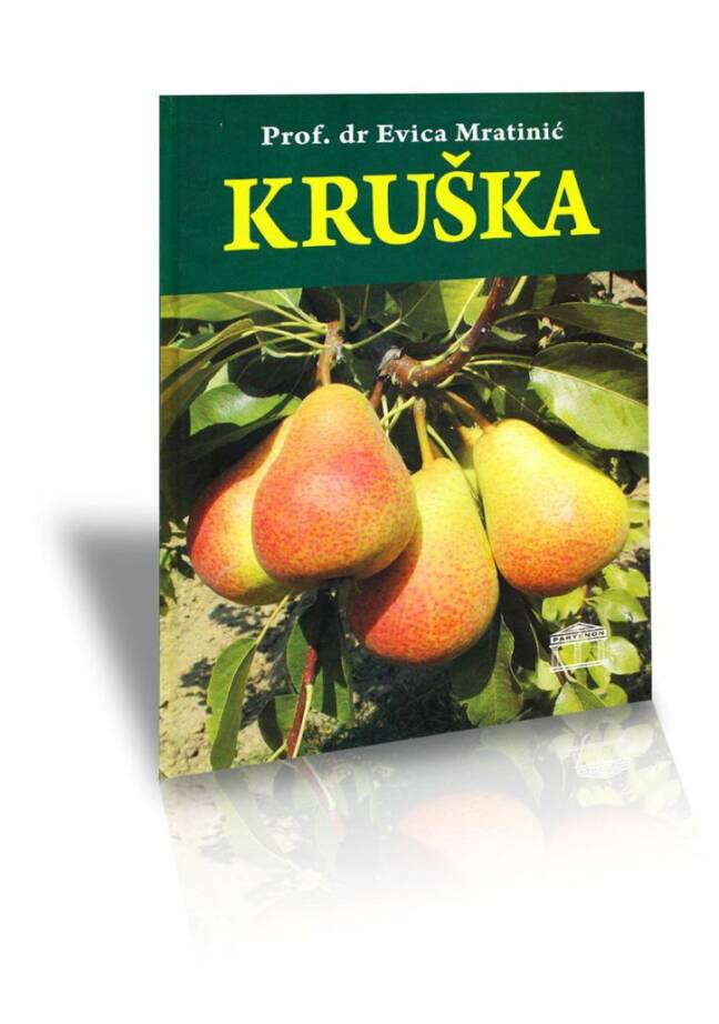 Kruška