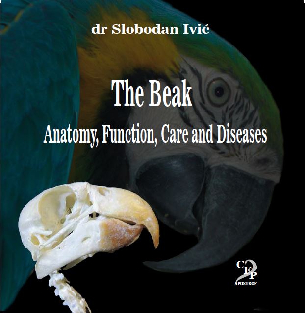 The Beak – Anatomy, Function, Care and Diseases