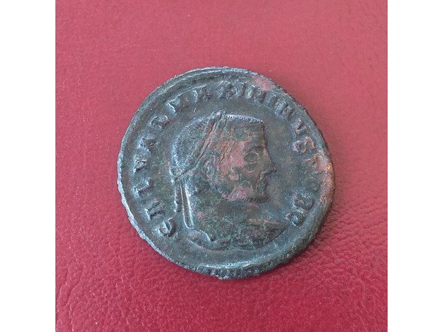 MAXIMINUS II DAIA