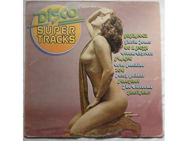 VARIOUS  -  DISCO  SUPER  TRACKS