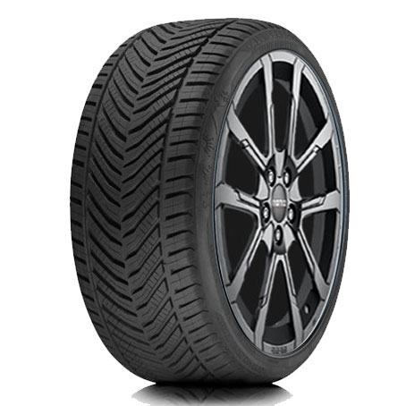 225/50 R17 RIKEN ALL SEASON 98V XL