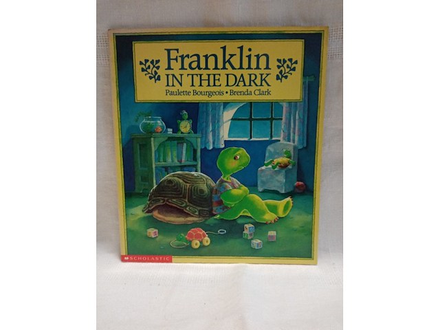 Franklin in the dark,Paulette Bourgeois