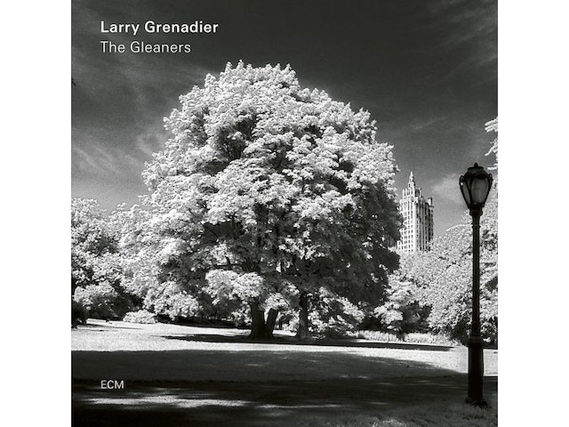 Larry Grenadier ‎– The Gleaners