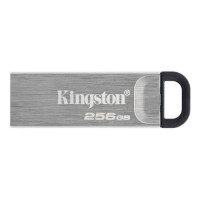 256 GB 3.2, Kingston DTKN/256GB