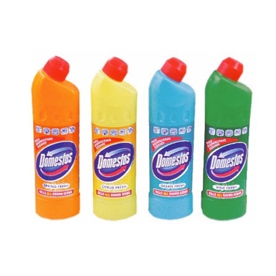 Domestos 750ml