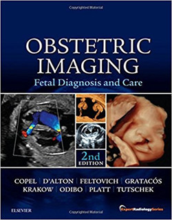 Obstetric Imaging: Fetal Diagnosis and Care, 2e (Expert Radiology)