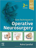 Core Techniques in Operative Neurosurgery, 2nd Edition
