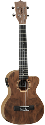 Tanglewood Tiare TWT 21 E Ukulele