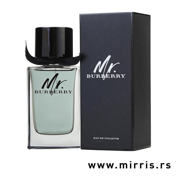Burberry Mr. Burberry Eau De Parfum 100ml EDP