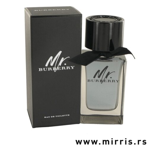 Burberry Mr. Burberry 100ml EDT