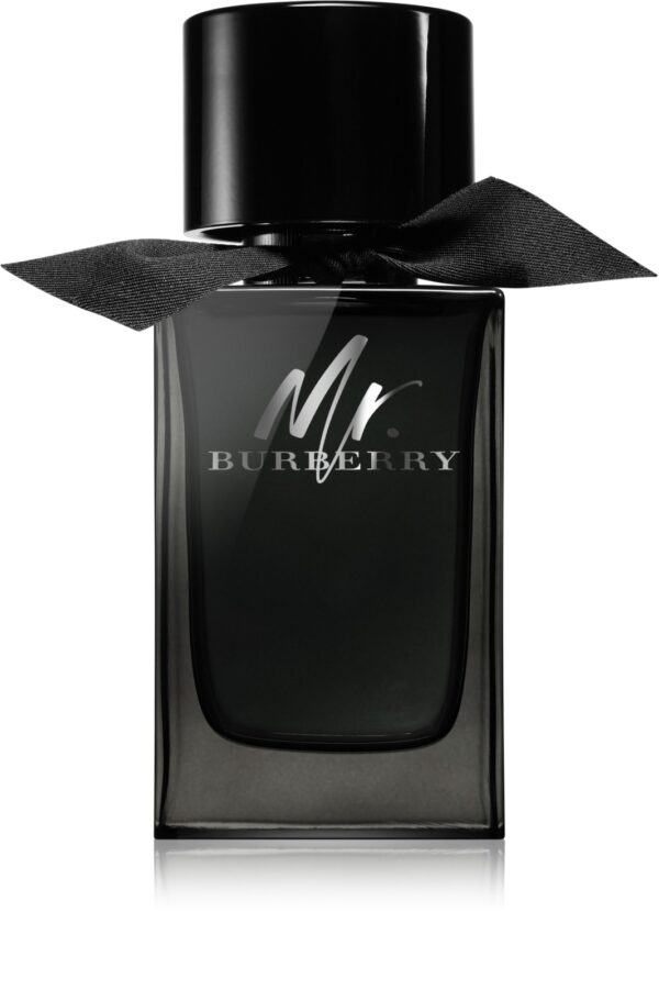 BURBERRY MR BURBERRY EDP TESTER / 100ml / Muški