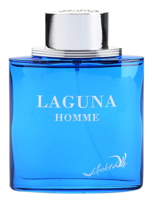 SALVADOR DALI LAGUNA HOMME TESTER / 100ml / Muški