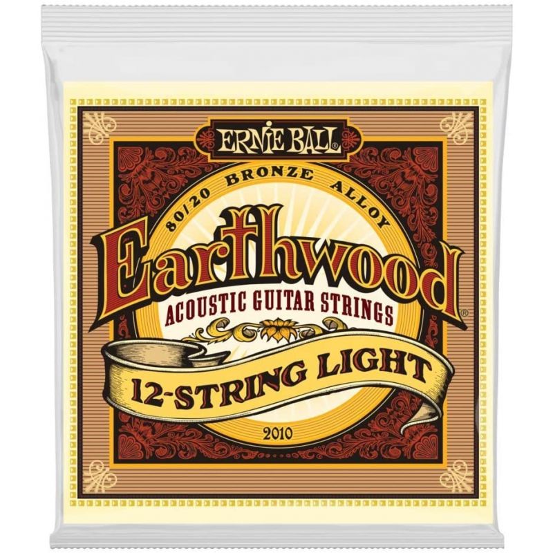 Ernie Ball Earthwood 12 String 2010