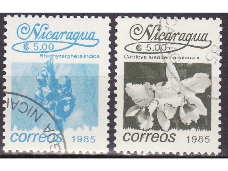 Nikaragva - cveće 85.