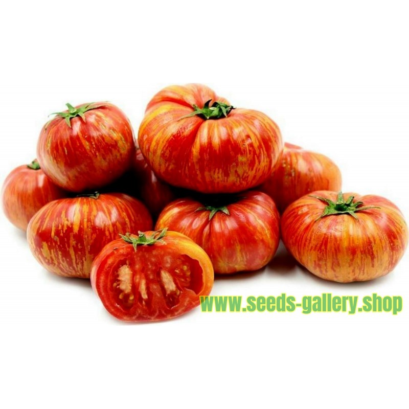 Tigerella paradajz seme