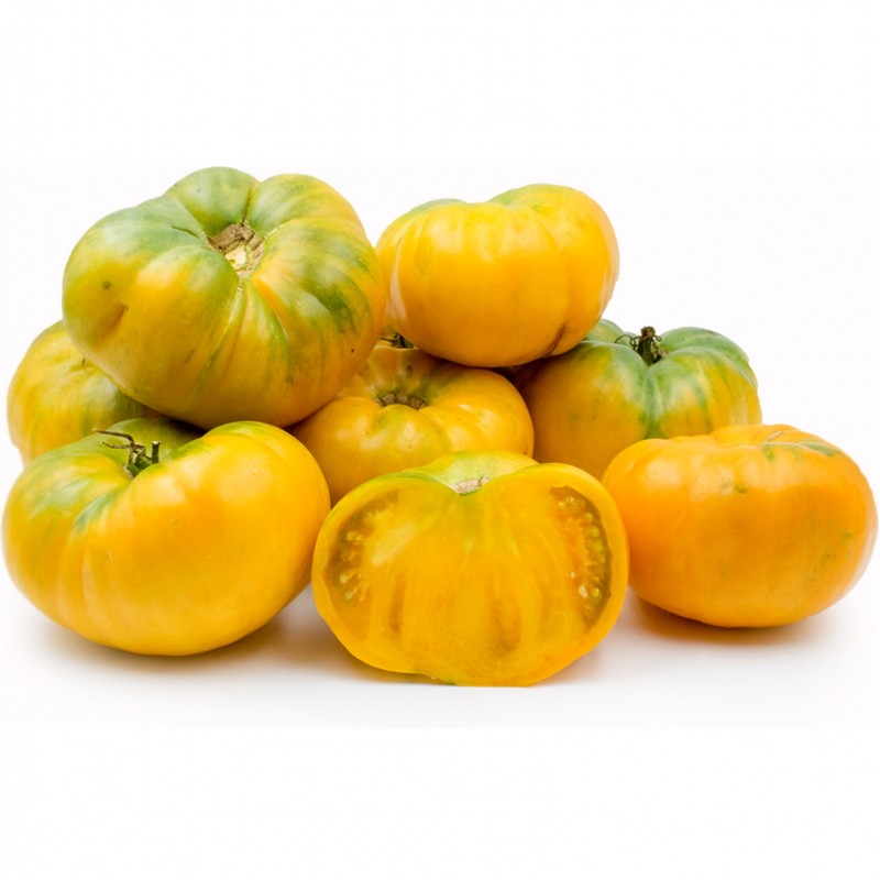 Paradajz Seme Persimmon Orange