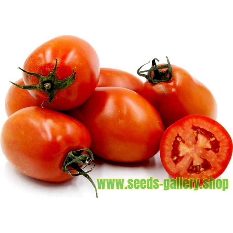 Seme paradajza Roma Nano