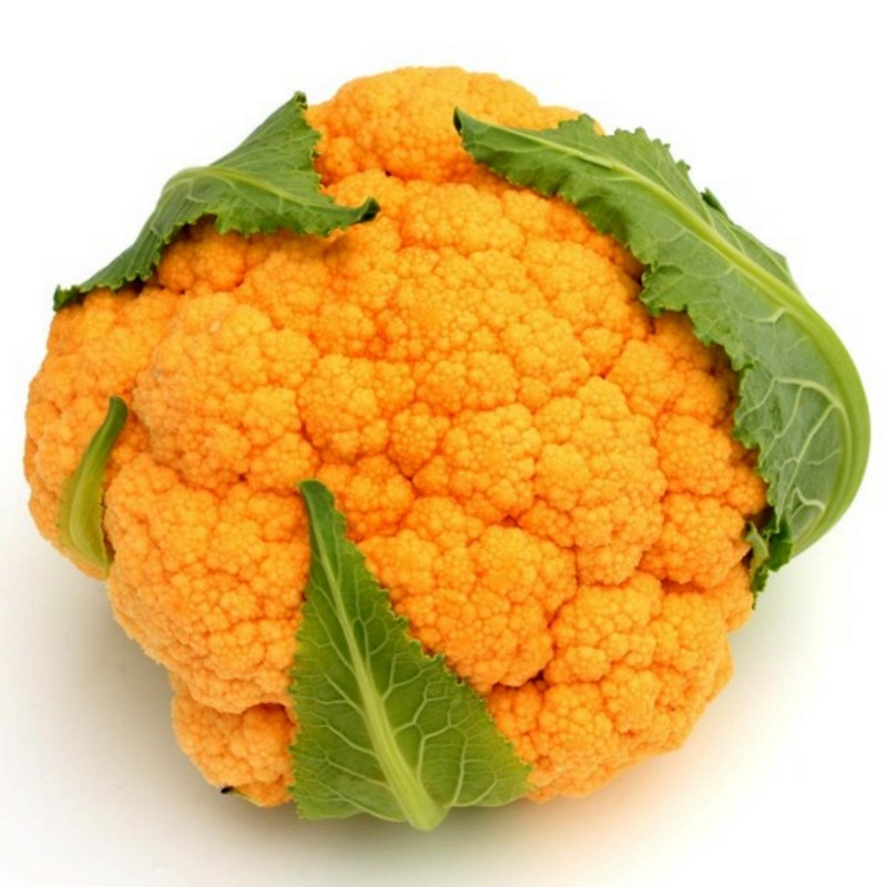 Narandzasti Karfiol Seme - Zdravo Povrce