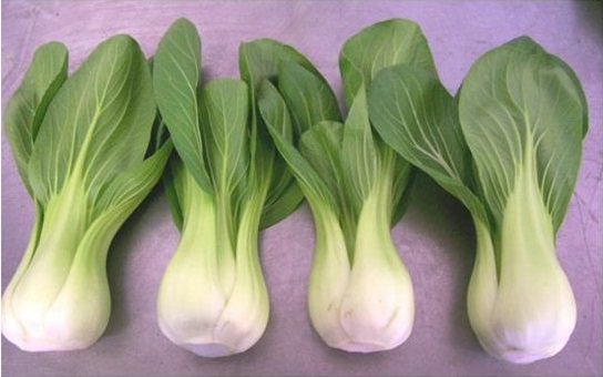 Bok Choy