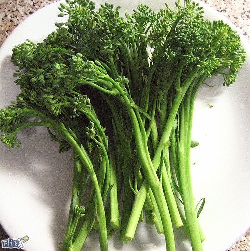 Broccoletti Early Fall Rapini