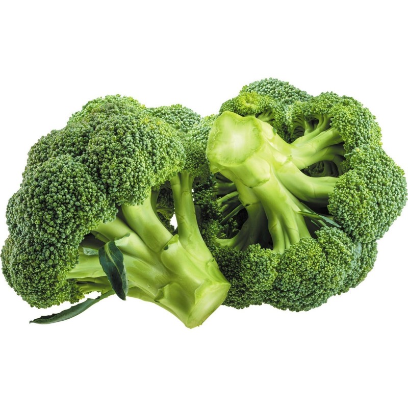 Brokoli Ramoso Calabrese Seme