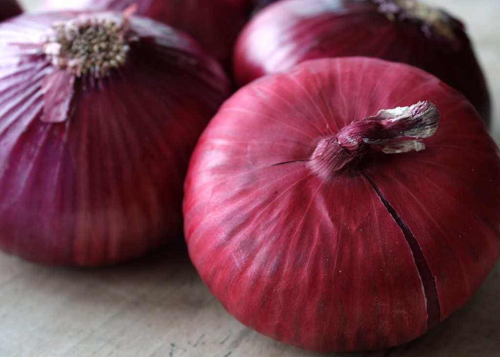 Luk “ Red Onion „