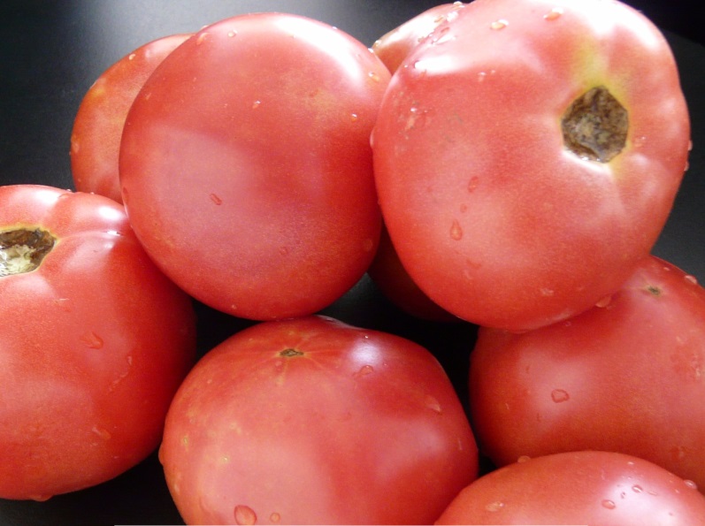 Rozi paradajz “ Bradley „