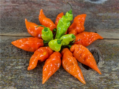 Slatki Habanero