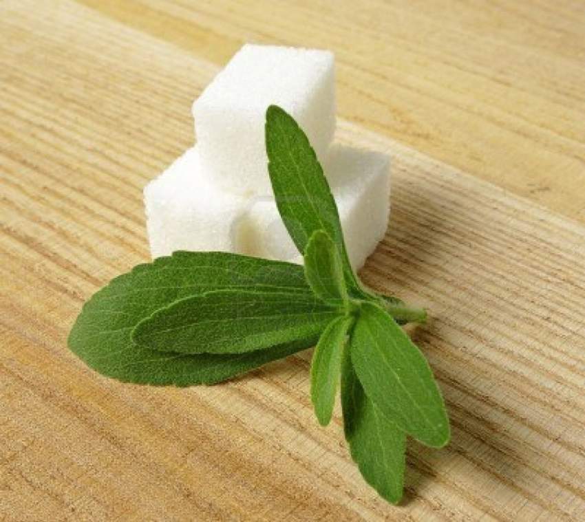 Stevia