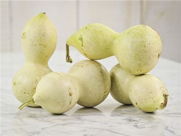 Vrg “ Xiaohulu Gourd „