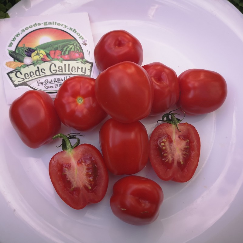 Seme - sjeme paradajza - rajcice Jabuka