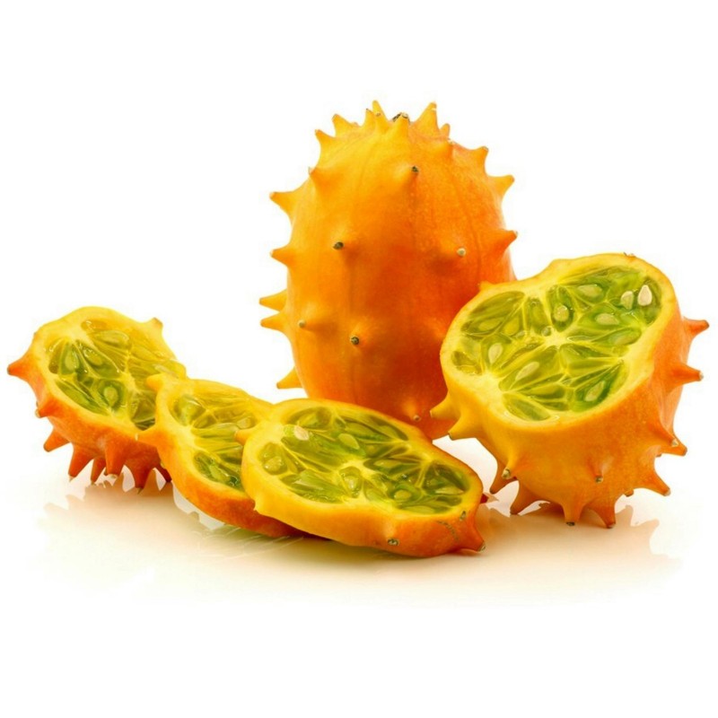 Kiwano Seme (Cucumis metuliferus)