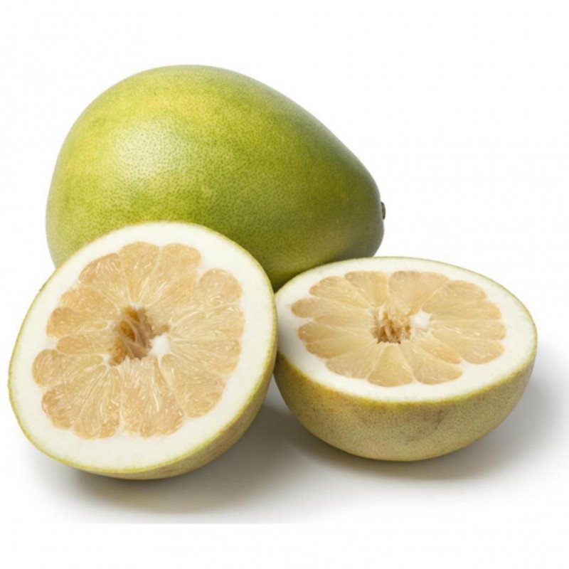 Pomelo Seme (Citrus Grandis decumana)