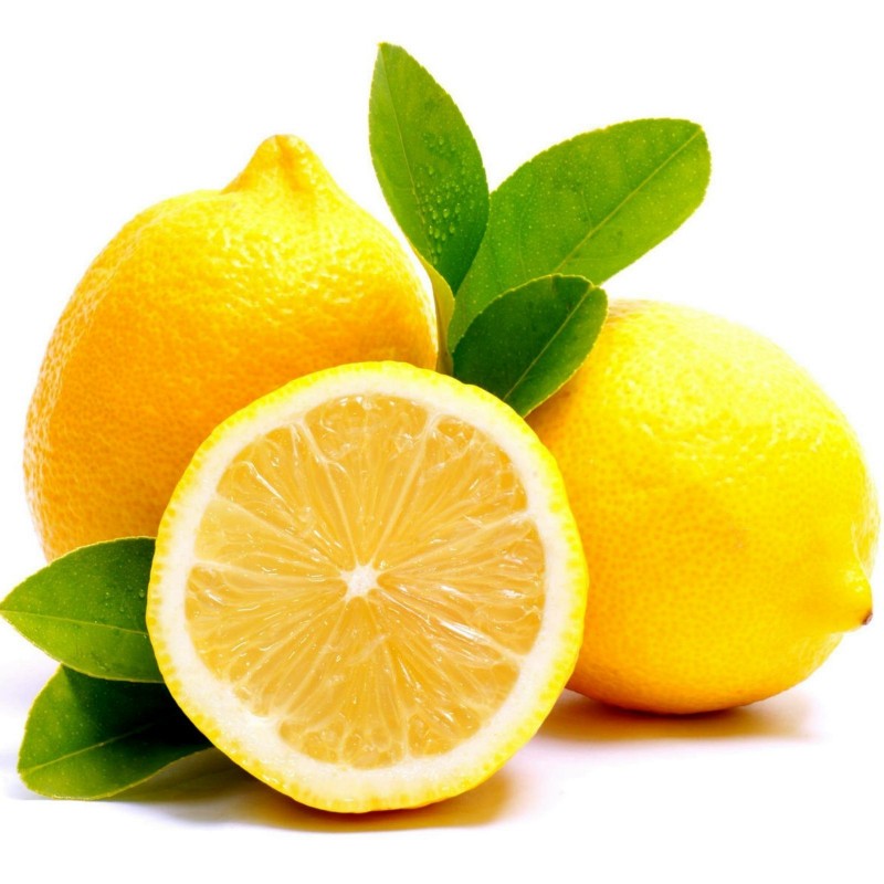 Limun Seme (Citrus x limon)