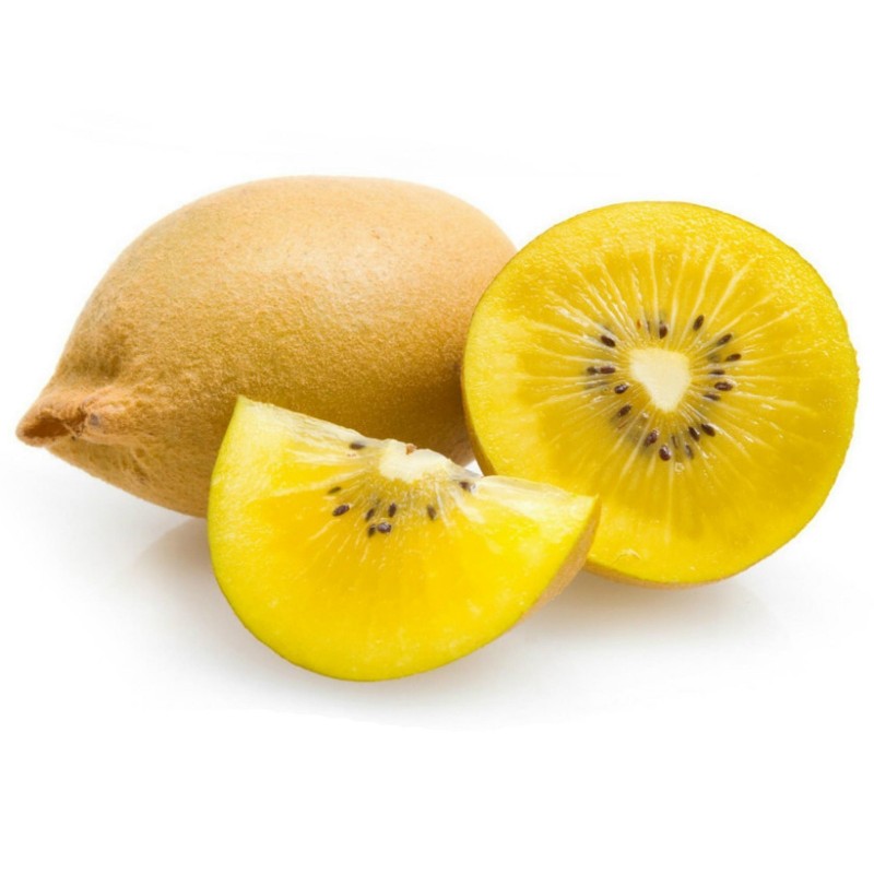 Golden Kiwi Seme izdrzava do - 25°C